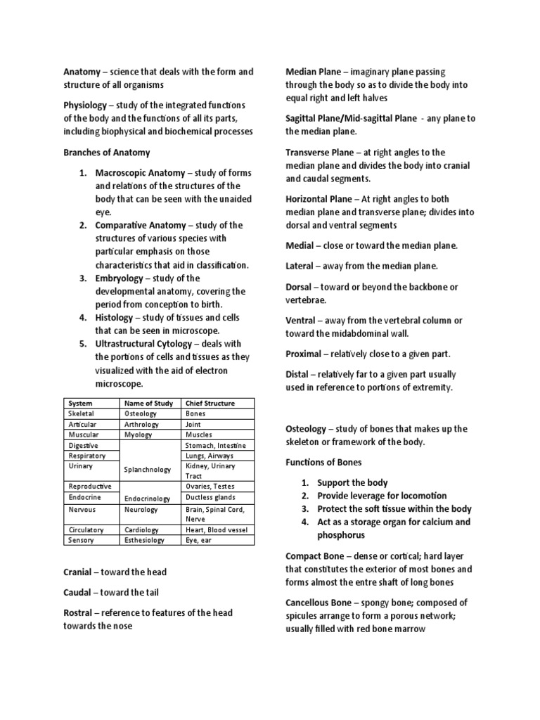 Anatomy - Physiology of Animals - Skeletal System. | PDF | Bone | Vertebra
