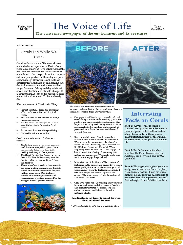 Coral Reefs: Importance and Conservation Tips | PDF | Coral Reef | Oceans