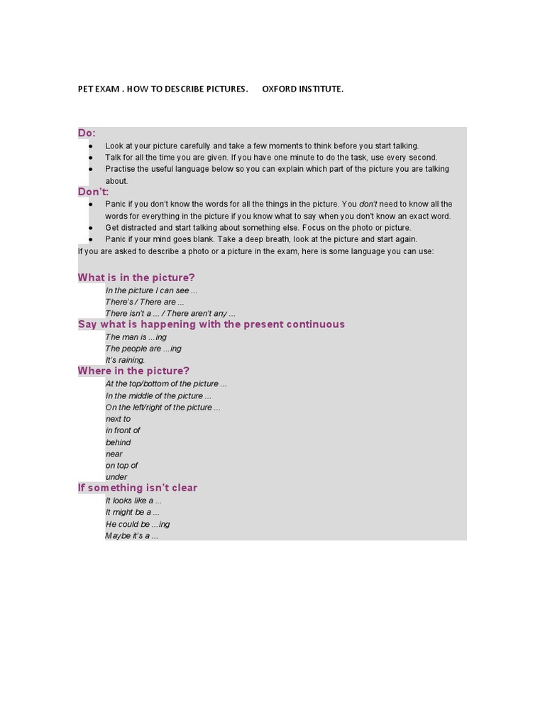 Pet Exam How To Describe Pictures | PDF
