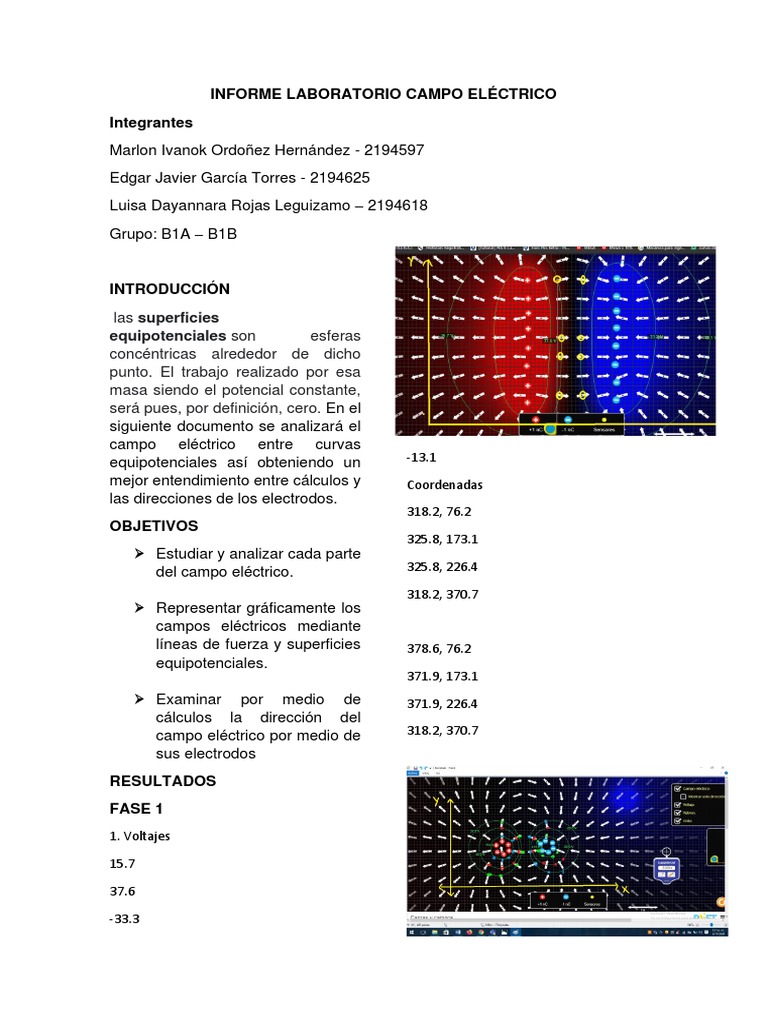 LABORATORIO 2 Superficies Equipotenciales | PDF | Campo eléctrico | Ciencias fisicas