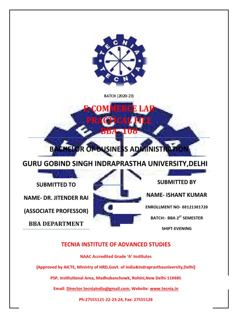 E-COMMERCE PRACTICAL FILE-108 (Example) | PDF | Computing | Text