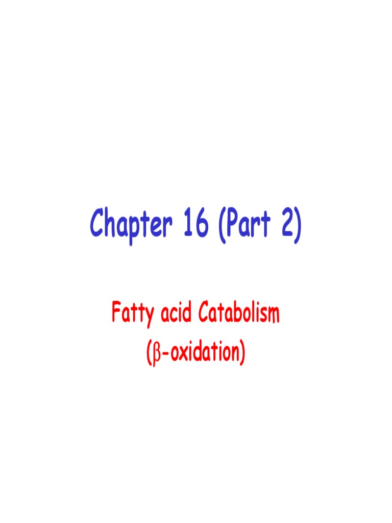 Chapter 16 (Part 2) Slides | PDF | Chemistry | Chemical Substances
