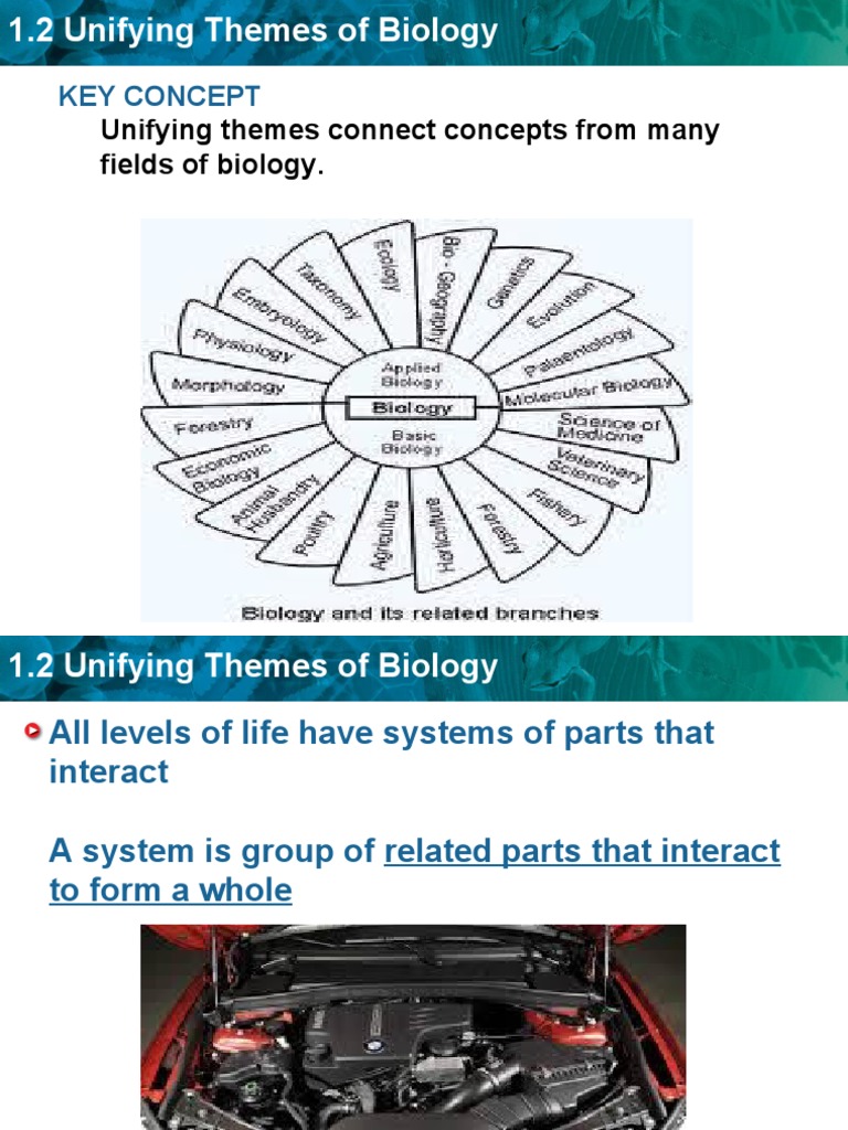 Unifying Themes | PDF | Biology | Life