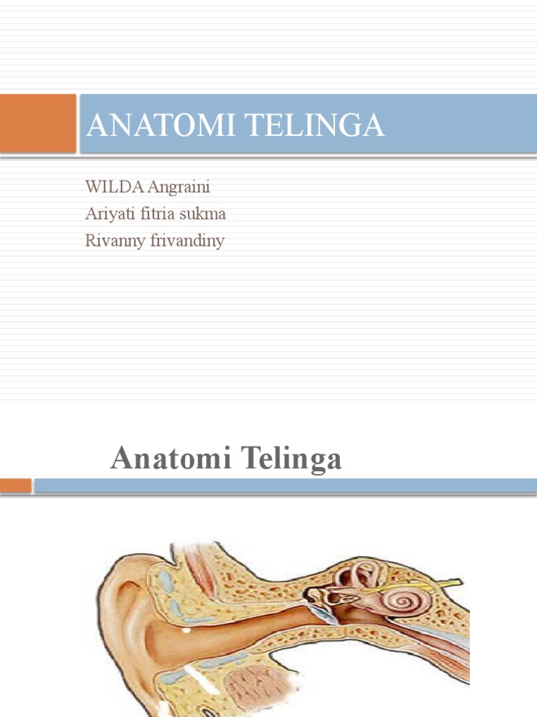 Anatomi Telinga Fira THT | PDF | Kesehatan Holistik | Sains & Matematika