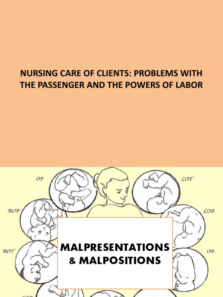 3 Problems With The Passenger and Powers of Labor | Download Free PDF ...
