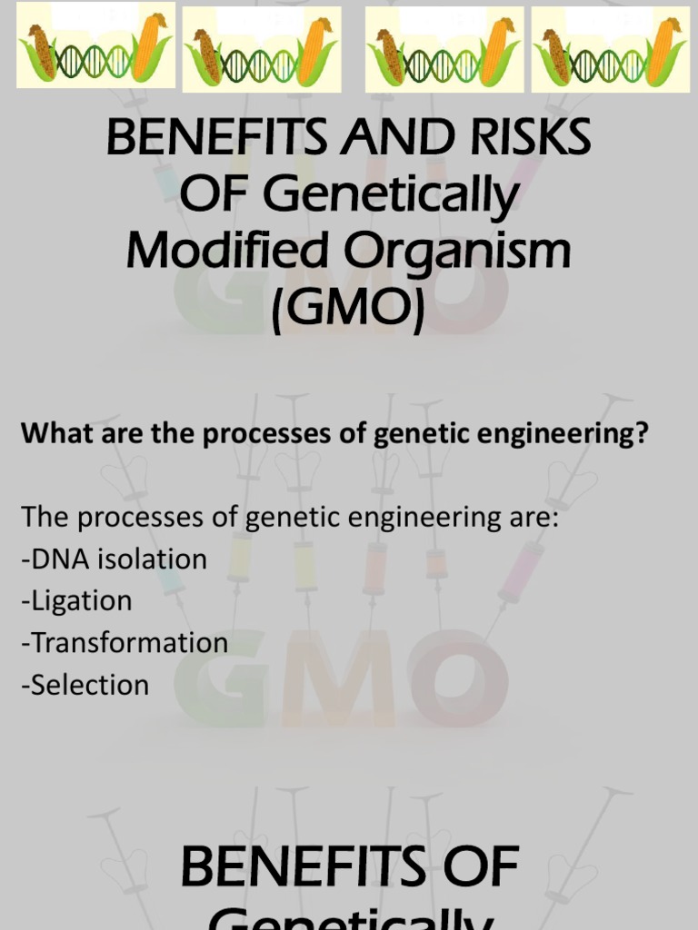 GMO Benefits and Risks Overview | PDF