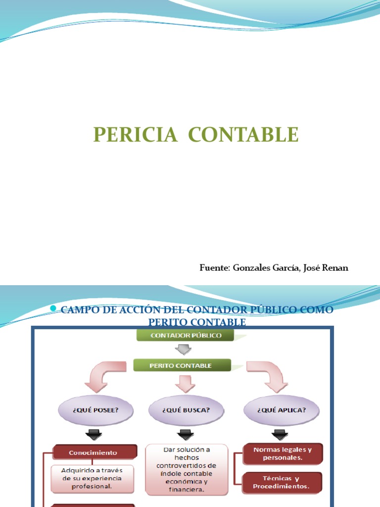 Pericia Contable - Campo de Acción. | PDF | Testigo experto | Contador