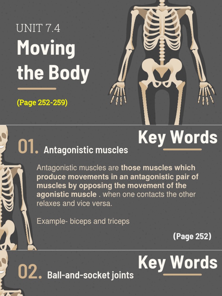 Understanding Biceps and Triceps Movement | PDF | Skeleton | Arm