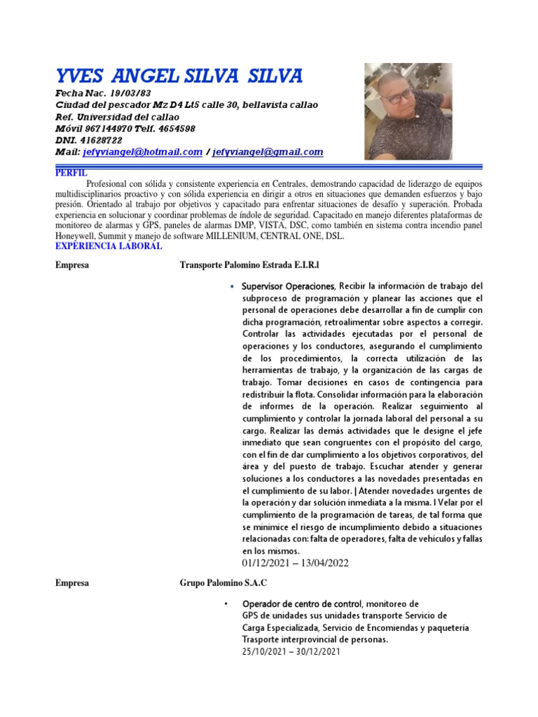 C.V Silva Silva Yves Angel | PDF | Economias | Business