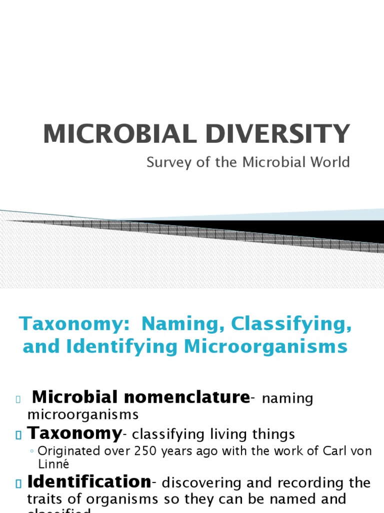 Taxonomy and Classification of Microorganisms: An Overview of the Major ...