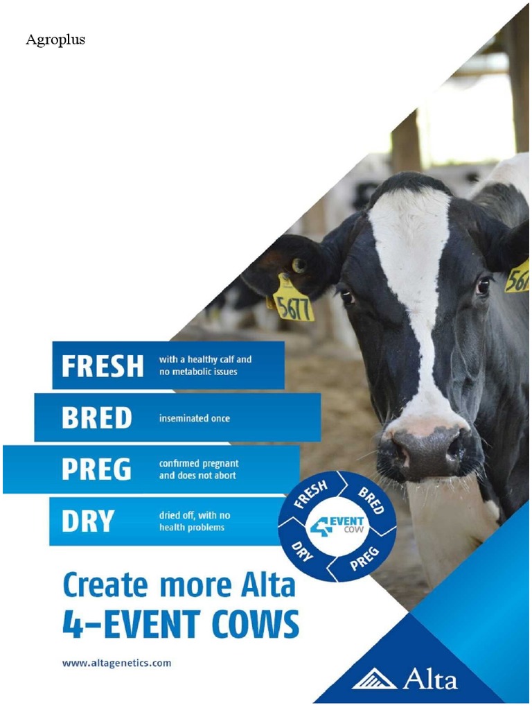 AltaGenetics BullsList | PDF | Cattle | Dairy