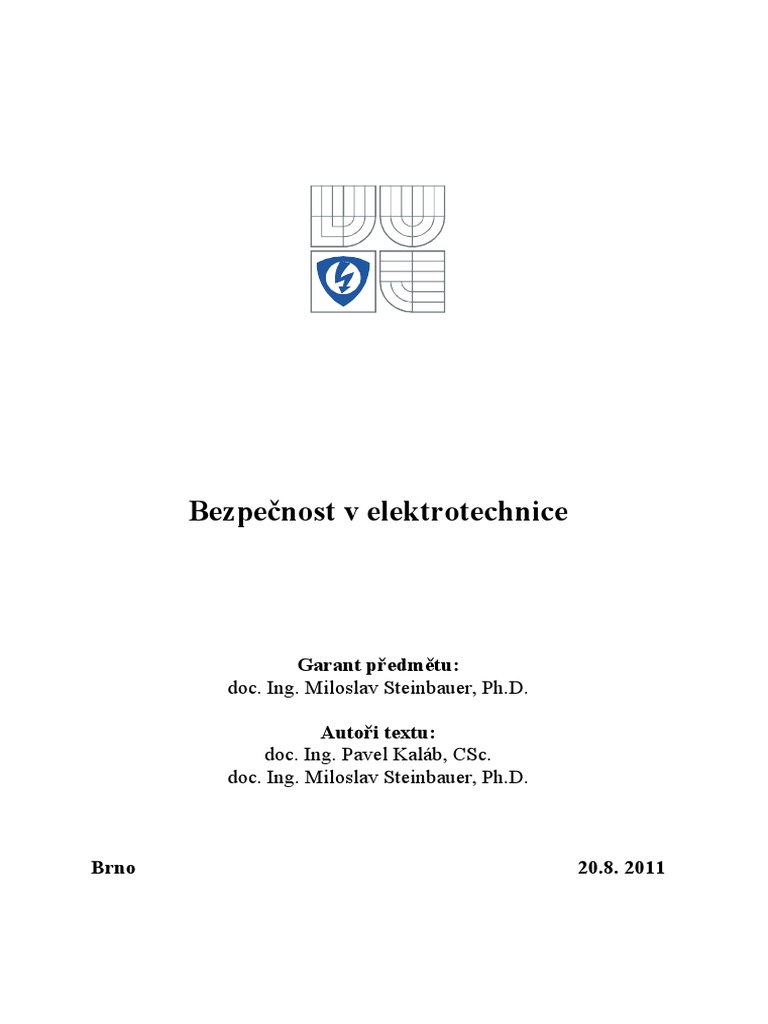 Bezpečnost Siln. | PDF