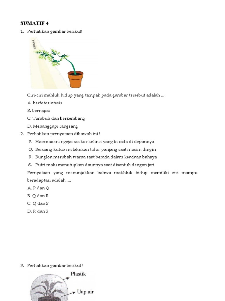 Sumatif 4 | PDF | Sains & Matematika