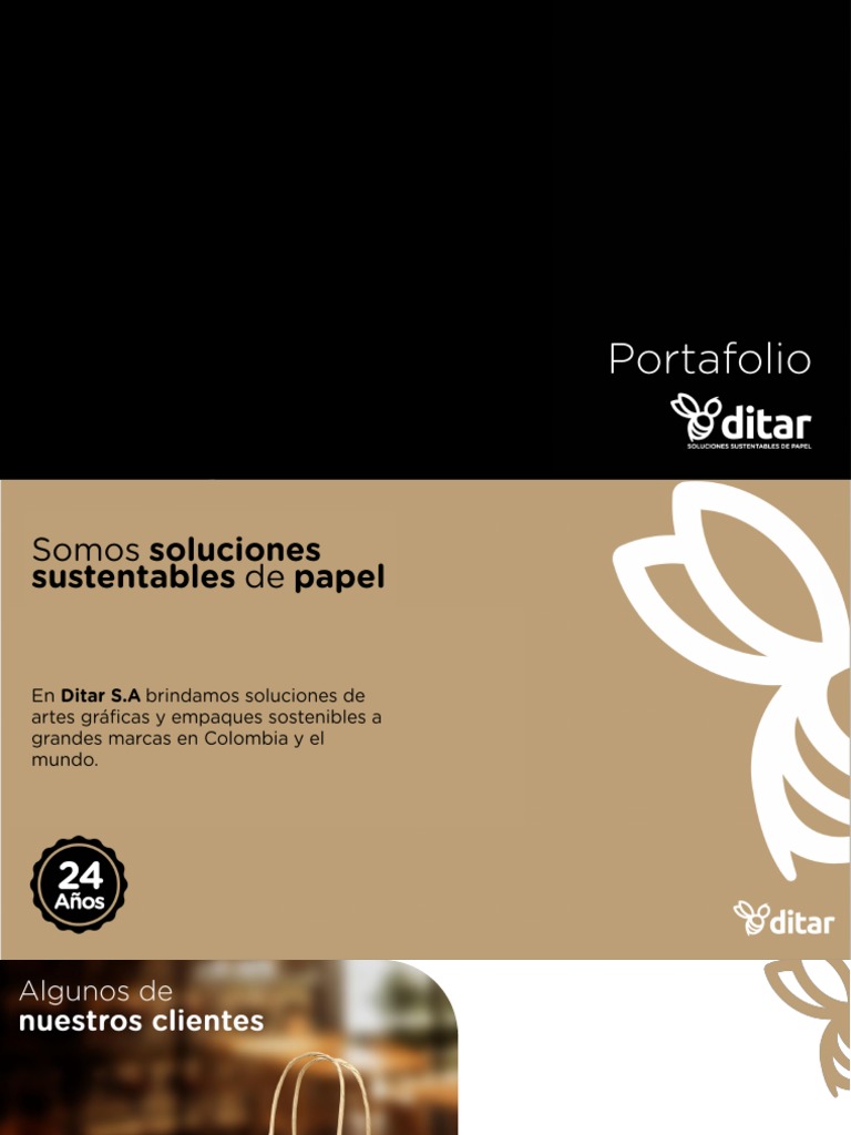 Ditar - Portafolio (Español) | PDF