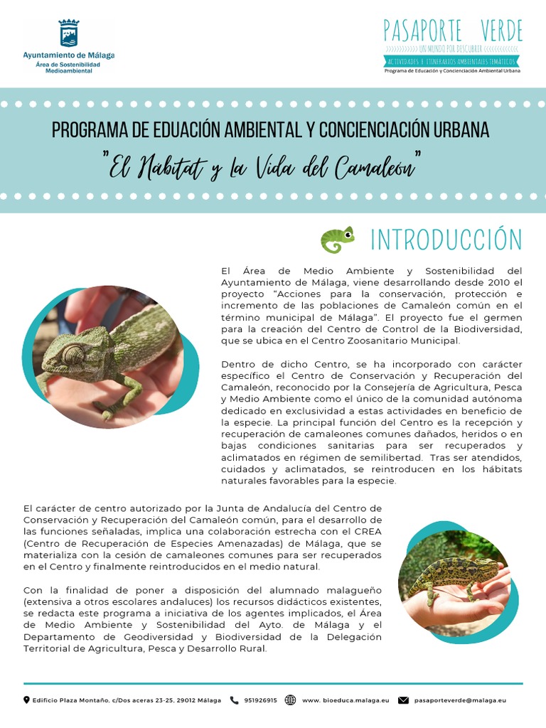 El Habitat Y La Vida Del Camaleon Pdf Movimiento Conservacionista