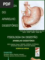 Concorde ICL Brazil | PDF | Agricultura