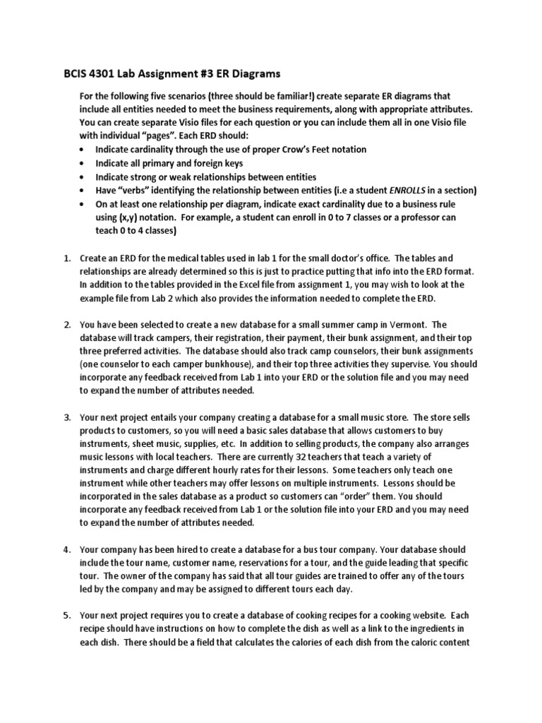 BCIS 4301 Lab Assignment 3 | PDF | Computing | Data Management