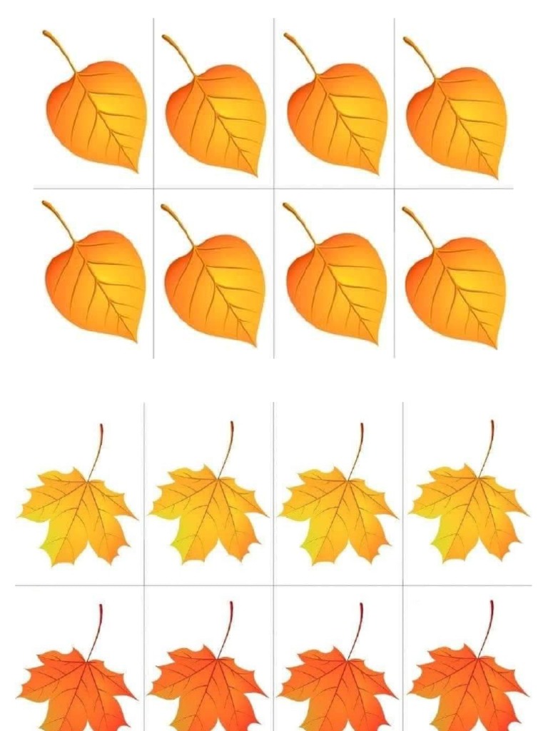 Frunze Modele de Printat Colorate | PDF