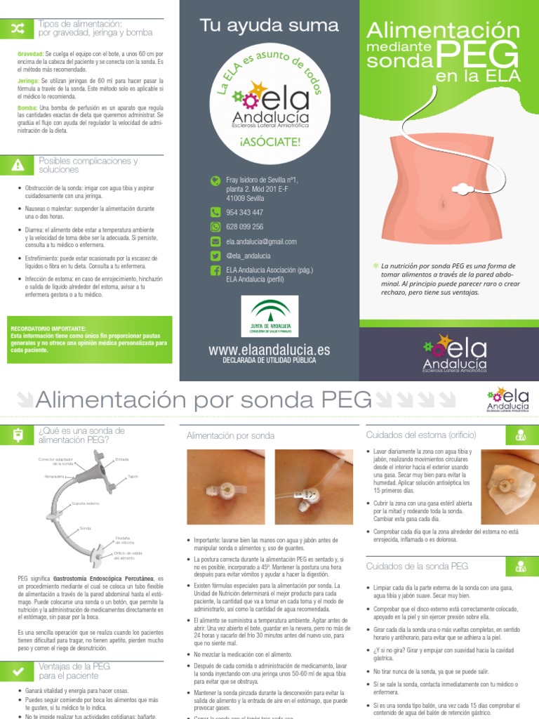 Alimentación y Cuidados de La Sonda PEG | PDF | Agua | Estómago