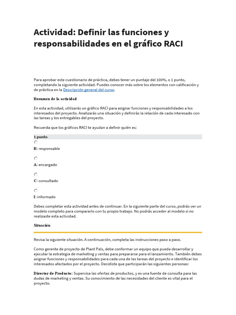 Funciones en el Gráfico RACI para Proyectos | PDF | Marketing | Business