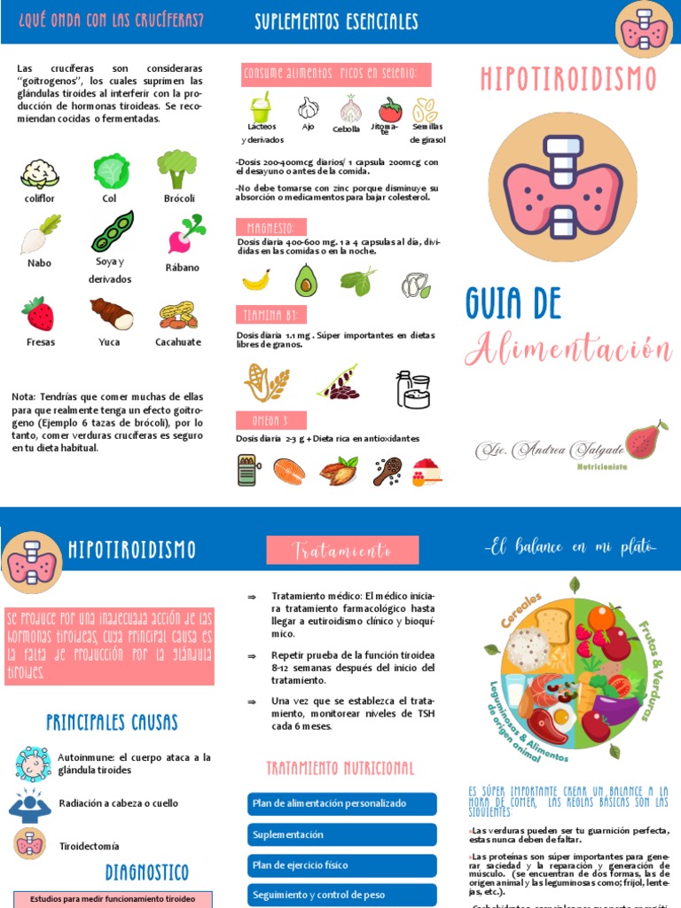 Hipotiroidismo Guia De Alimentacion Pdf Tiroides Hipotiroidismo