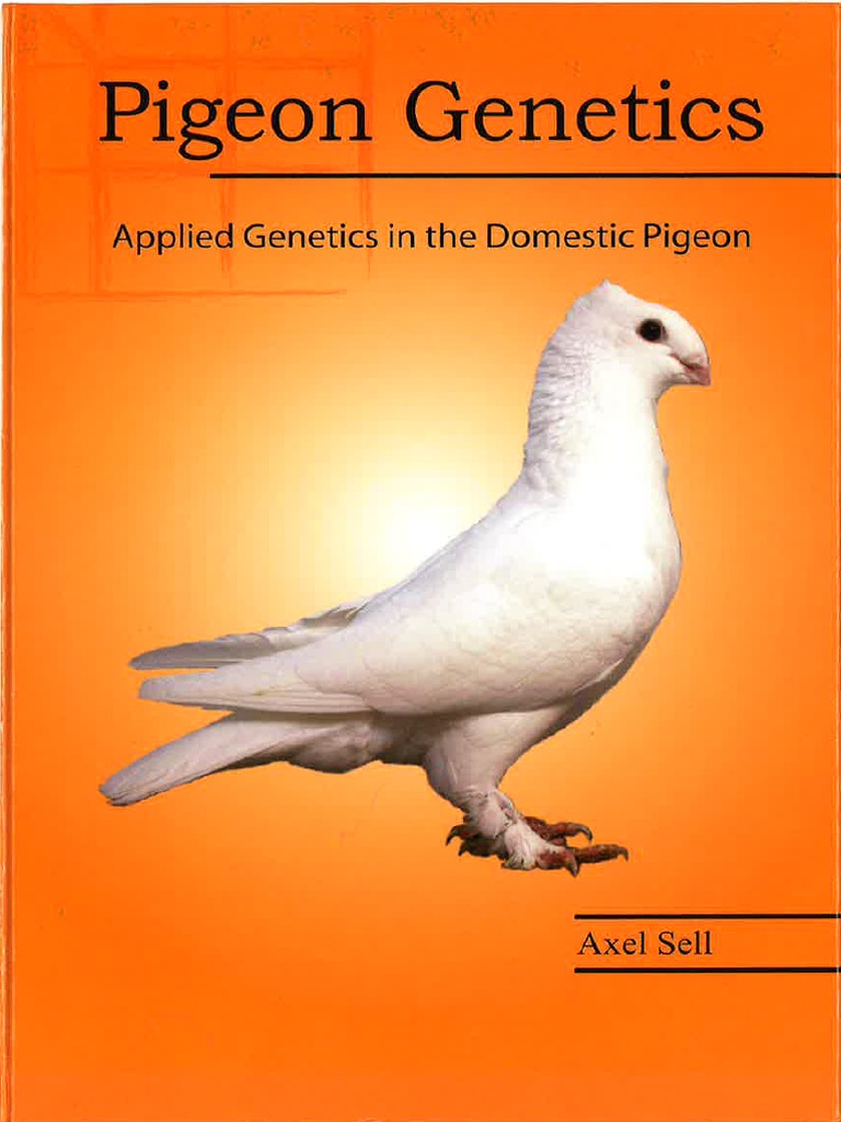 Pigeon Genetics - Axel Sell | PDF