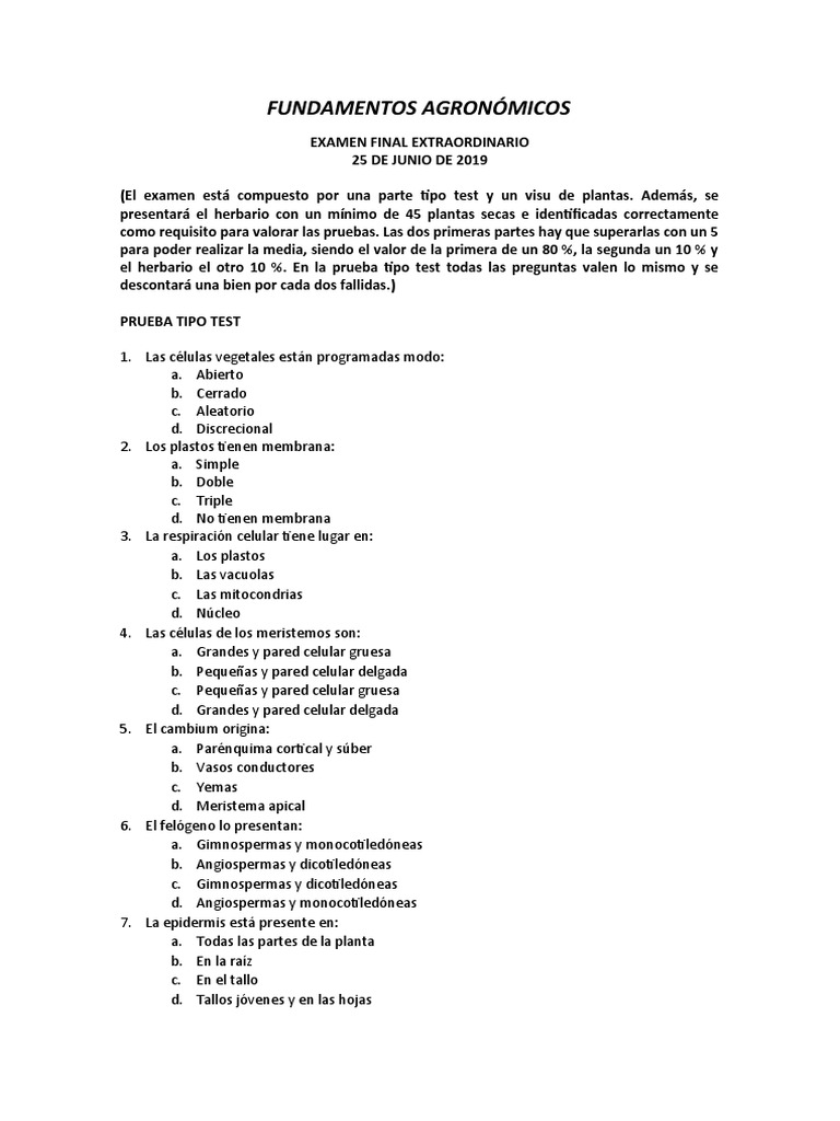 Examen Final Fundamentos 2018 | PDF