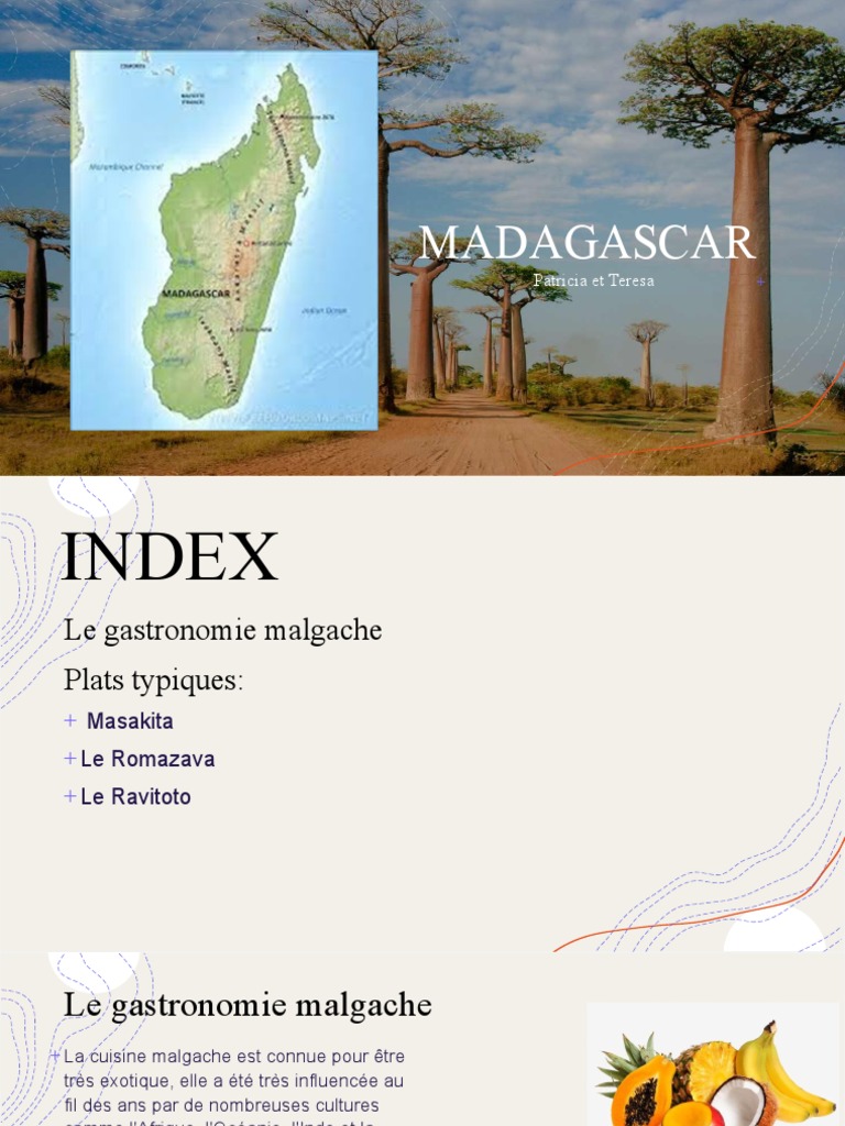 Nourriture Malgache | PDF