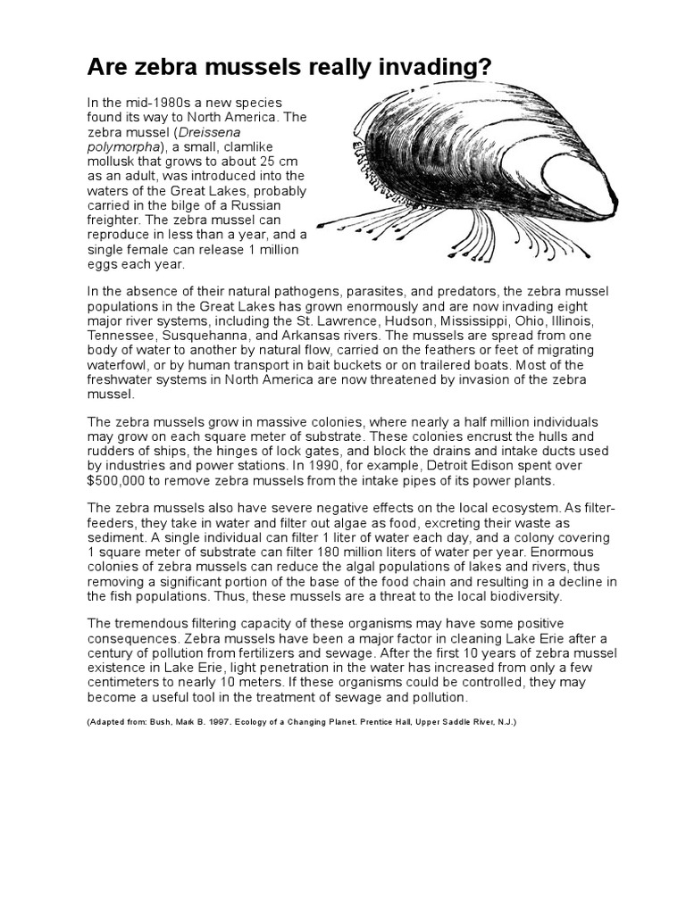 Zebra Mussels: Invasion Impact Analysis | PDF | Home & Garden