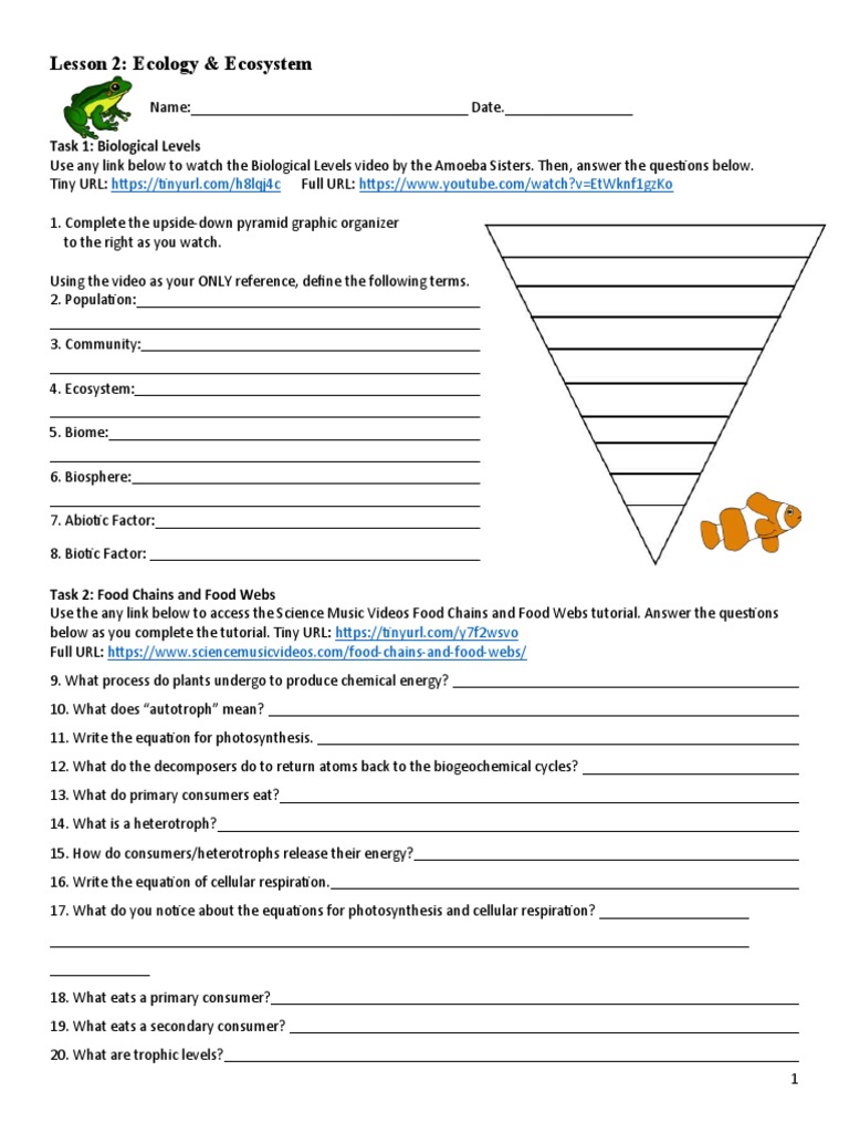 Ecology & Ecosystem Worksheet Part 1 | PDF | Food Web | Ecosystem