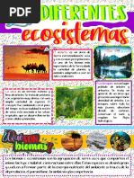 Infografía Artropodos | PDF | Western Honey Bee | Insectos