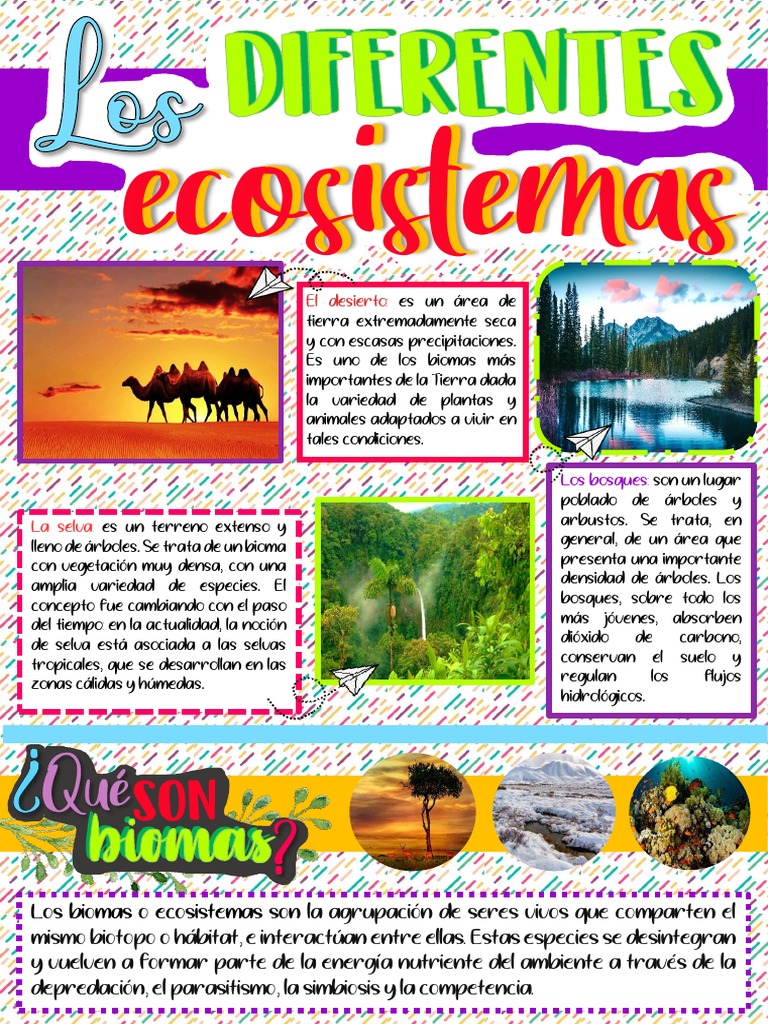 Infografia Ecosistemas | PDF