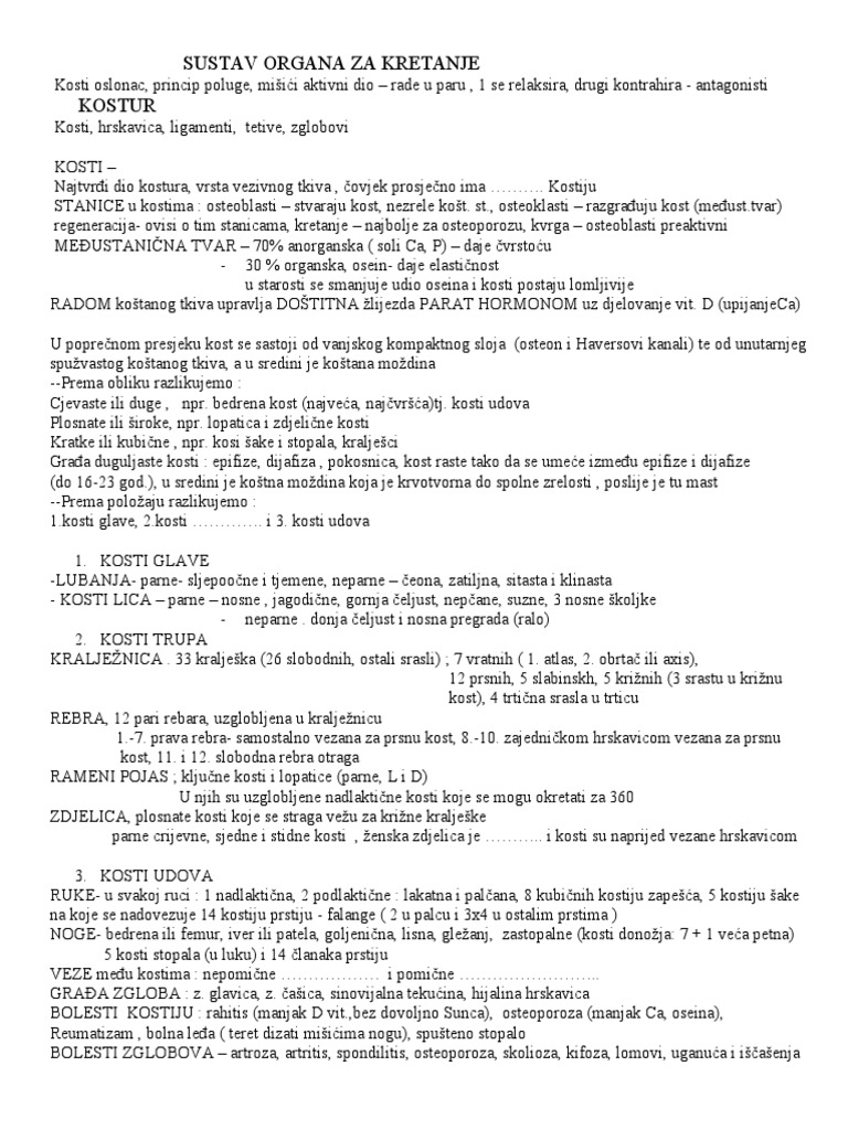 Sustav Organa Za Kretanje, Kostur | PDF