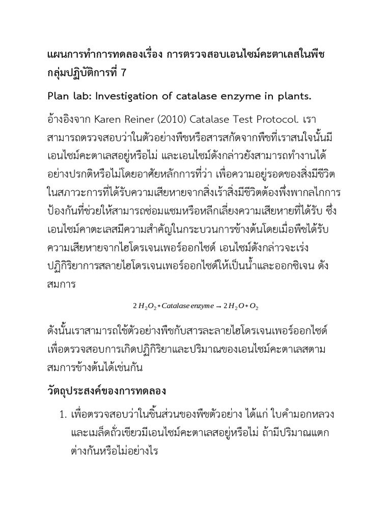 Plan Lab Enzyme Catalase | PDF