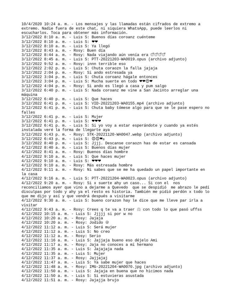 Chat de WhatsApp Con Luis S | PDF
