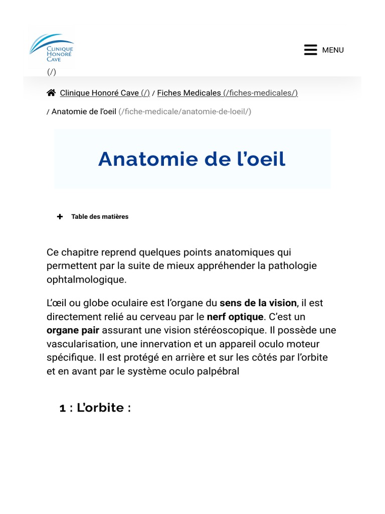 Anatomie de L'oeil - Présentation Complète | PDF