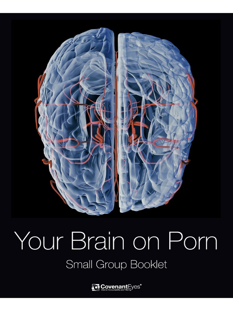 Your Brain | PDF