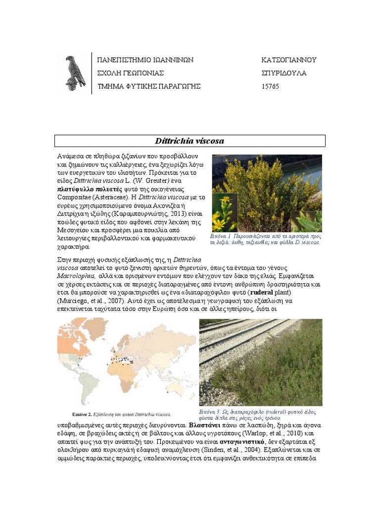 Zizaniologia Katsogiannou | PDF