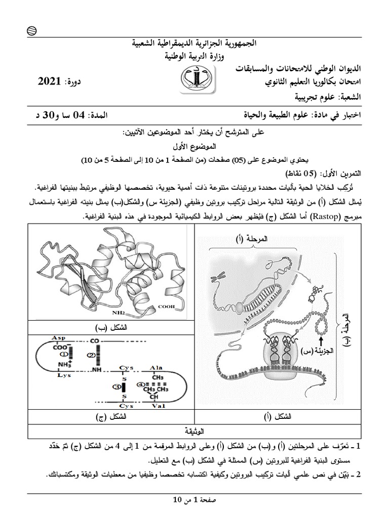 Dzexams Bac Sciences Se 20211 2728849 | PDF