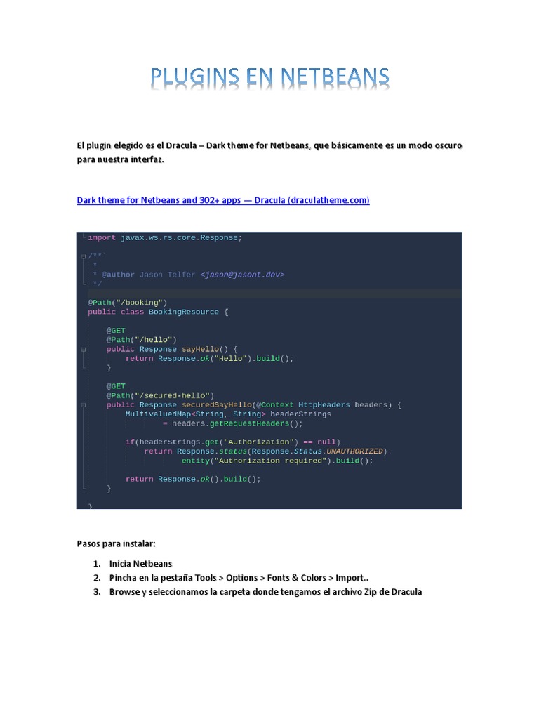 Plugins en Netbeans | PDF