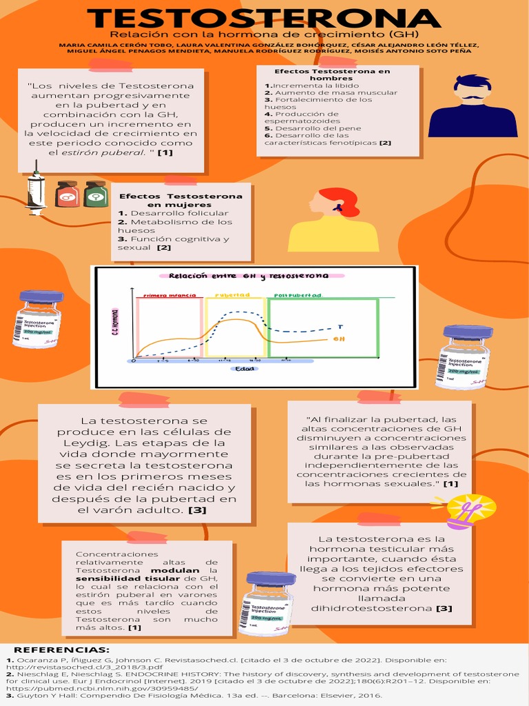 Efectos de la Testosterona en la Pubertad | PDF | Testosterona ...