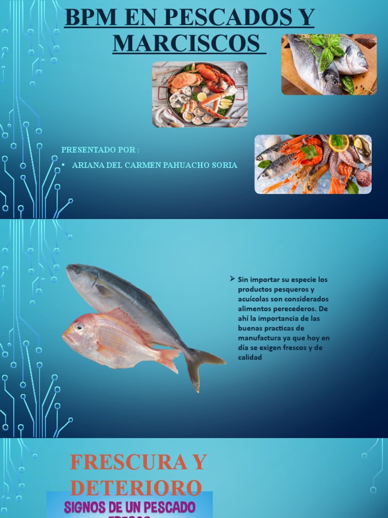 BPM en Pescados y Marciscos | PDF | Pescado como alimento | Agua