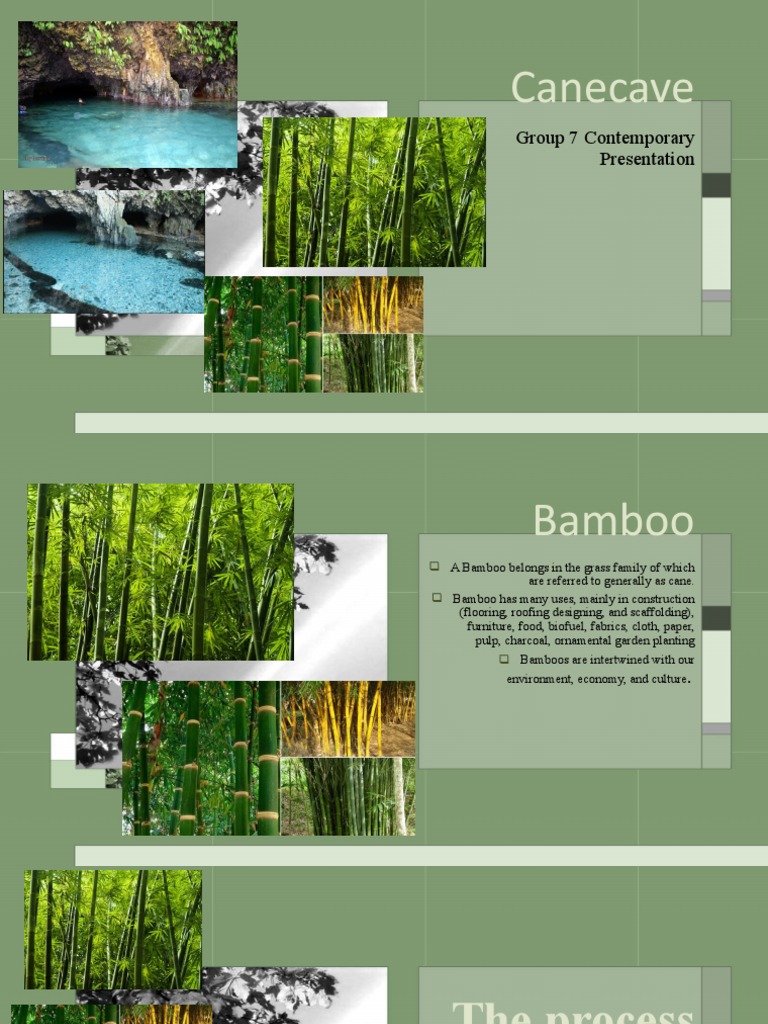 Cane Cave | PDF