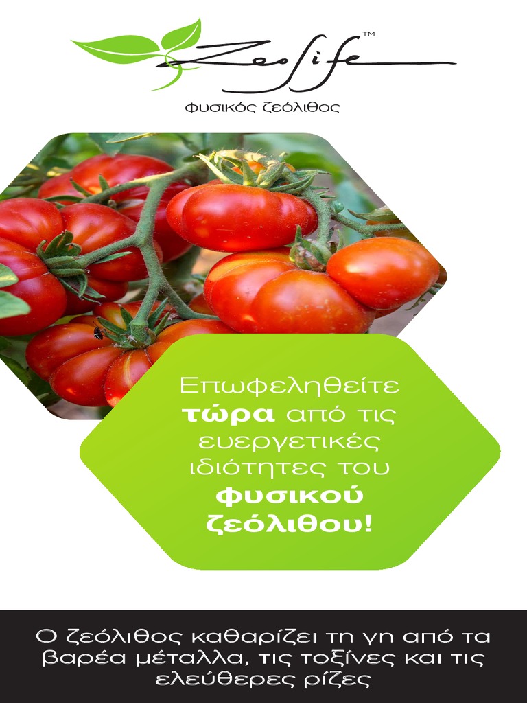 ΖΕΟΛΙΘΟΣ - ΓΕΩΡΓΙΑ | PDF