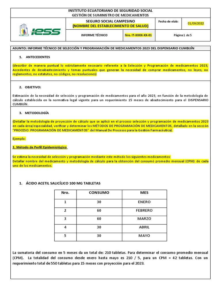 Formato Informe Técnico | PDF | Medicamentos con receta