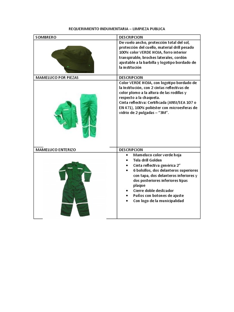 Requerimiento Indumentaria | PDF