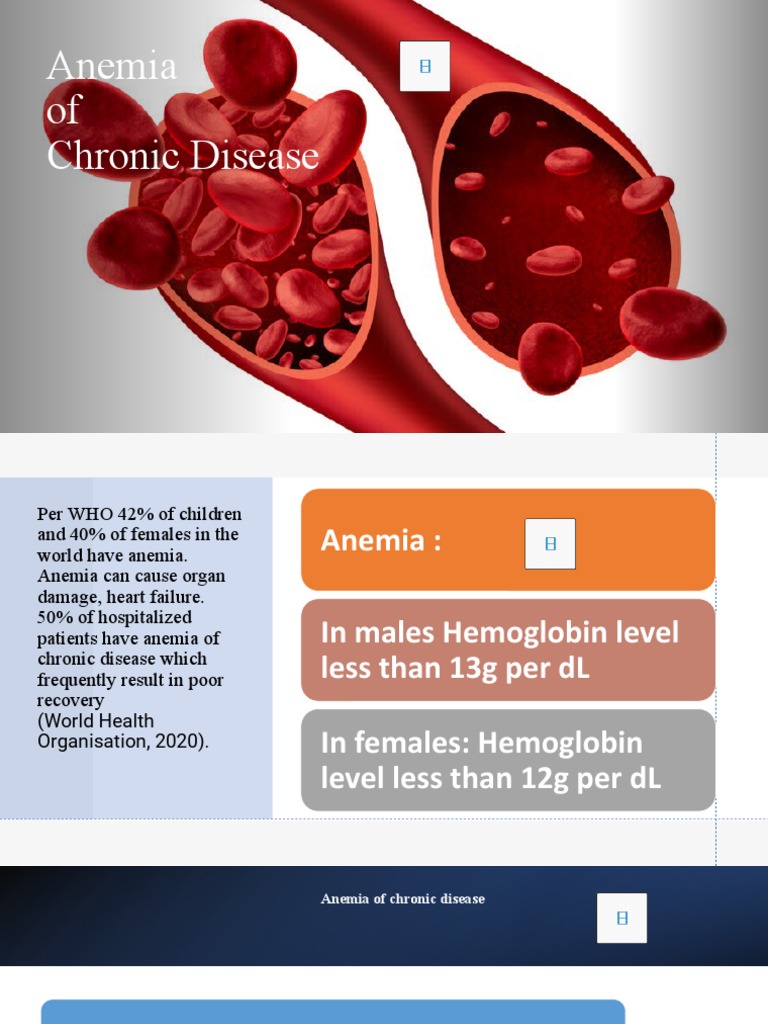 Anemia of Chronic Disease Overview | PDF | Anemia | Causes Of Death