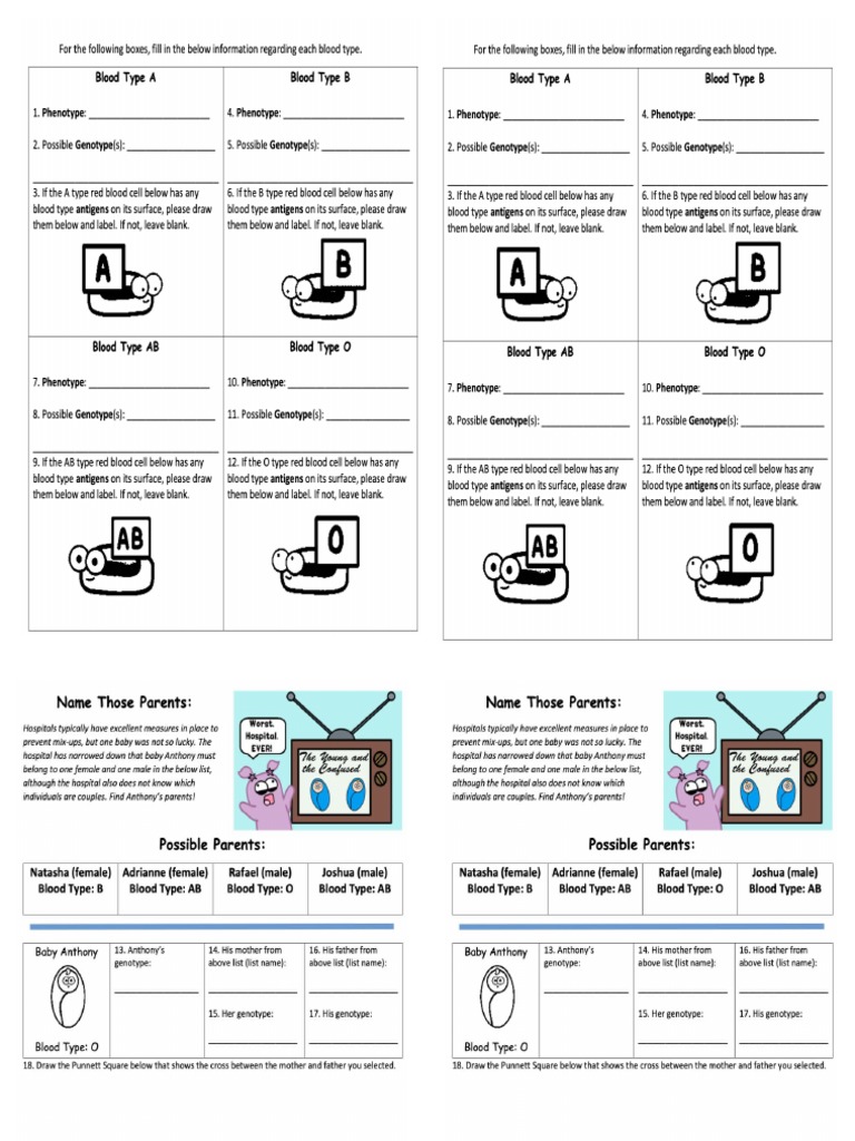 Multiple Allele Worksheet | PDF