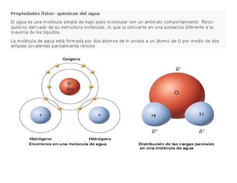 Estrcutura Molecular Del Agua. Proyecto 2 | PDF