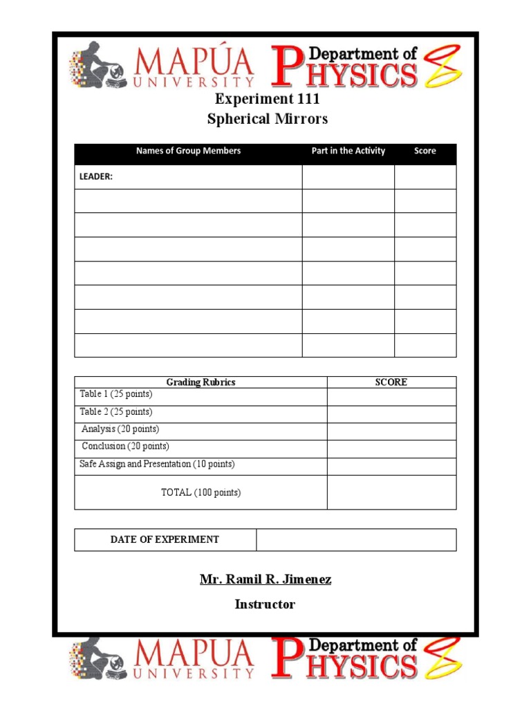 E111 Group Report Form | PDF